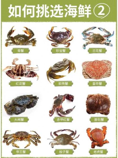 螃蟹怎么挑选_活蟹新鲜度怎么看-第2张图片-山城妙识