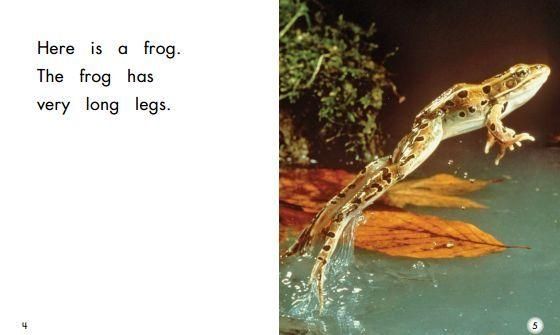 What_is_Longchaoshou_in_English_How_to_order-第3张图片-山城妙识