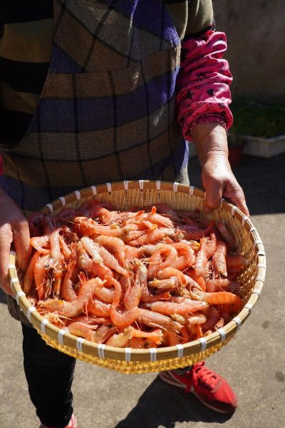 大虾虾酱怎么做_家庭版详细步骤-第3张图片-山城妙识 大虾虾酱怎么做_家庭版详细步骤-第3张图片-山城妙识