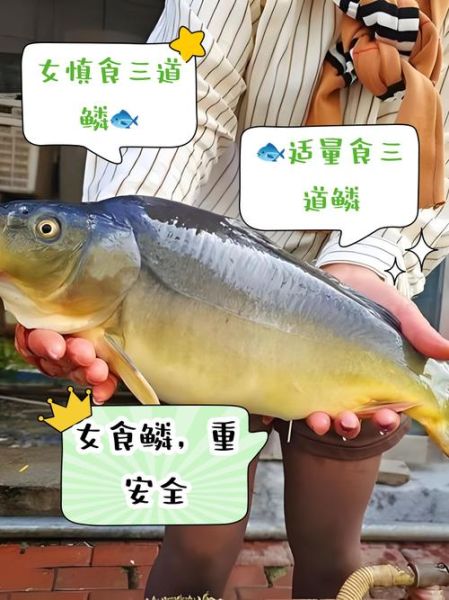 三道鳞是什么鱼_多少钱一斤-第1张图片-山城妙识