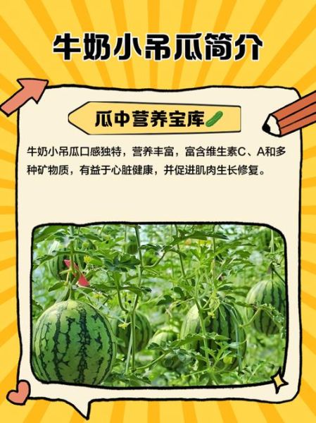 吊瓜图片大全图片_吊瓜功效与作用-第2张图片-山城妙识 吊瓜图片大全图片_吊瓜功效与作用-第2张图片-山城妙识