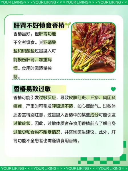 香椿的功效与作用及禁忌_哪些人不能吃-第3张图片-山城妙识