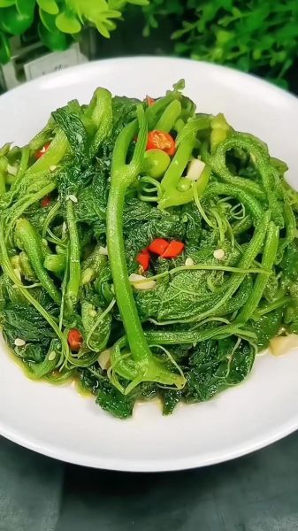 南瓜叶怎么炒好吃又简单_南瓜叶炒多久才嫩-第2张图片-山城妙识 南瓜叶怎么炒好吃又简单_南瓜叶炒多久才嫩-第2张图片-山城妙识