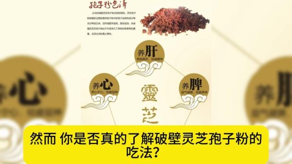 灵芝孢子粉的功效与作用_灵芝怎么吃效果最好-第3张图片-山城妙识