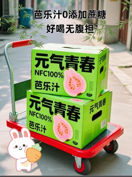 芭乐汁怎么做_芭乐汁需要去皮吗-第1张图片-山城妙识