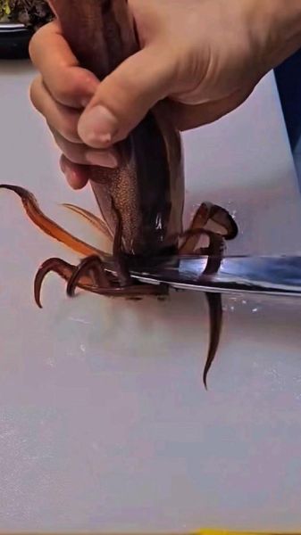 大鱿鱼怎么处理_大鱿鱼清洗去腥步骤-第3张图片-山城妙识 大鱿鱼怎么处理_大鱿鱼清洗去腥步骤-第3张图片-山城妙识