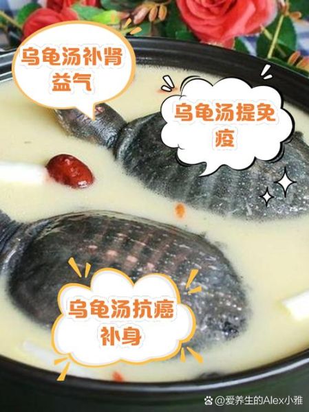 乌龟汤怎么炖_乌龟汤的做法大全-第1张图片-山城妙识 乌龟汤怎么炖_乌龟汤的做法大全-第1张图片-山城妙识