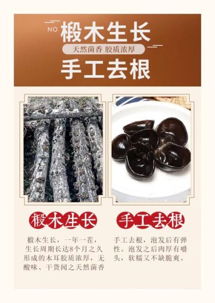 什么样的木耳品质最好_如何挑选优质木耳-第1张图片-山城妙识 什么样的木耳品质最好_如何挑选优质木耳-第1张图片-山城妙识