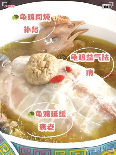 乌龟汤怎么炖_乌龟汤的做法大全-第2张图片-山城妙识 乌龟汤怎么炖_乌龟汤的做法大全-第2张图片-山城妙识