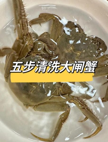 绑好的大闸蟹怎么洗_大闸蟹清洗步骤-第1张图片-山城妙识 绑好的大闸蟹怎么洗_大闸蟹清洗步骤-第1张图片-山城妙识
