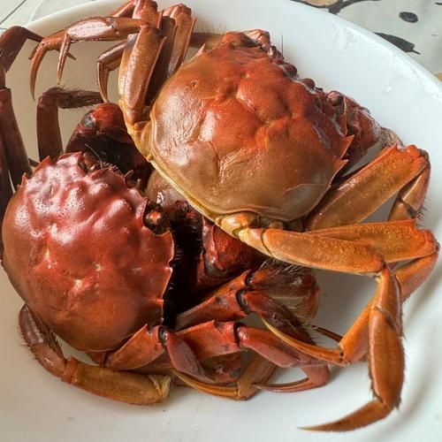 清蒸肉蟹怎么蒸不腥_清蒸肉蟹做法大全窍门-第3张图片-山城妙识 清蒸肉蟹怎么蒸不腥_清蒸肉蟹做法大全窍门-第3张图片-山城妙识