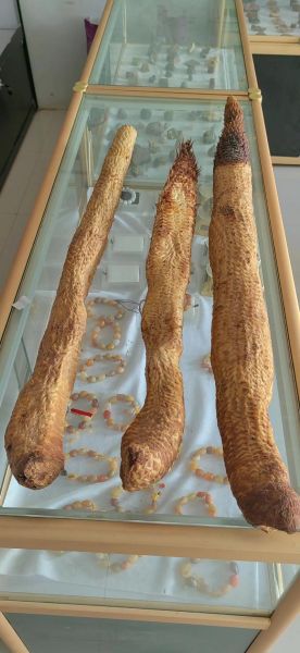 男人吃锁阳能延时吗_锁阳持久力真假-第1张图片-山城妙识