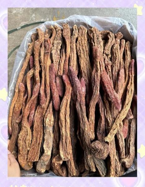 男人吃锁阳能延时吗_锁阳持久力真假-第2张图片-山城妙识