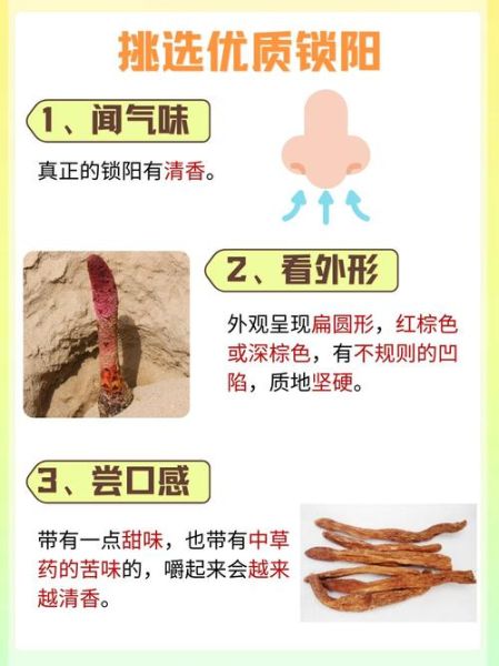 男人吃锁阳能延时吗_锁阳持久力真假-第3张图片-山城妙识