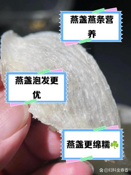 自用吃燕盏好还是燕条_燕盏和燕条的区别-第2张图片-山城妙识 自用吃燕盏好还是燕条_燕盏和燕条的区别-第2张图片-山城妙识