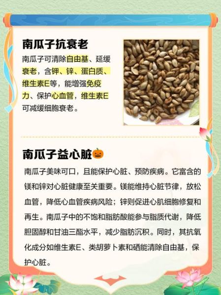 女人每天吃南瓜子好吗_吃多少才健康-第1张图片-山城妙识