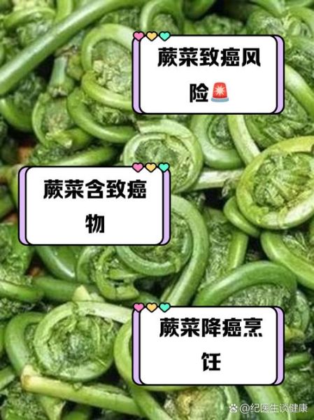 蕨菜根致癌吗_蕨菜根毒性真相-第2张图片-山城妙识