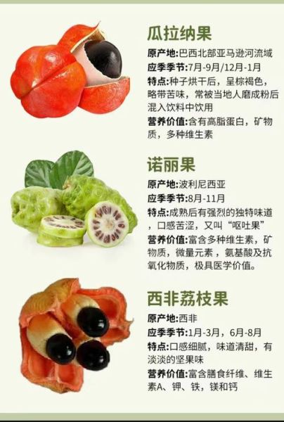 1000种水果名字大全_哪些水果名字最冷门-第3张图片-山城妙识