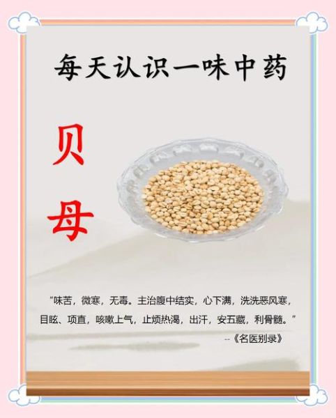 川贝粉哪些人不能吃_川贝粉禁忌人群-第1张图片-山城妙识