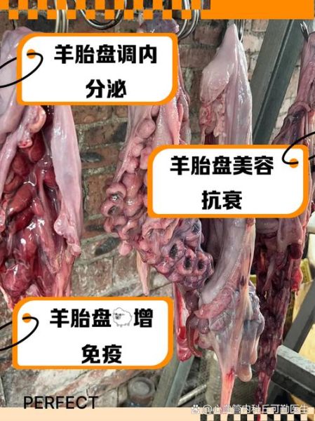 羊胎盘怎么吃效果最好_羊胎盘的功效与作用-第2张图片-山城妙识