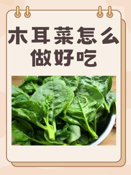 木耳焯水几分钟熟_木耳焯水多久才安全-第3张图片-山城妙识