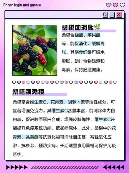 桑椹功效与作用及食用方法_桑椹一天吃多少合适-第3张图片-山城妙识