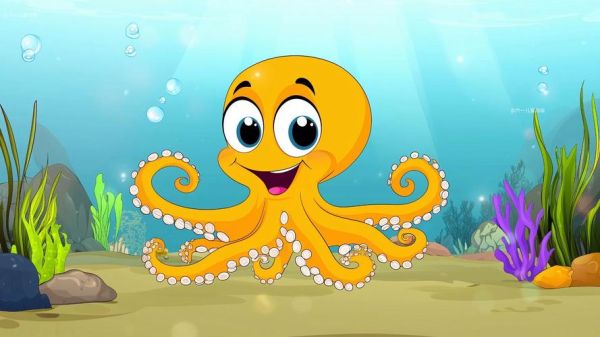 章鱼图片可爱_为什么章鱼这么萌-第1张图片-山城妙识