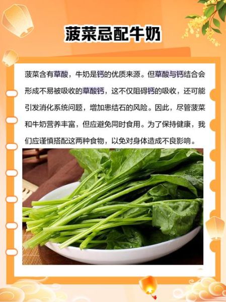 菠菜和什么一起吃最营养_菠菜不能和什么一起吃-第2张图片-山城妙识 菠菜和什么一起吃最营养_菠菜不能和什么一起吃-第2张图片-山城妙识