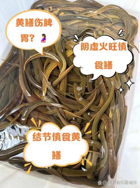 女人吃黄鳝有什么好处和坏处_女性吃黄鳝的利弊-第1张图片-山城妙识 女人吃黄鳝有什么好处和坏处_女性吃黄鳝的利弊-第1张图片-山城妙识