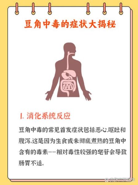 四季豆中毒多久会发作_中毒症状多久出现-第2张图片-山城妙识 四季豆中毒多久会发作_中毒症状多久出现-第2张图片-山城妙识