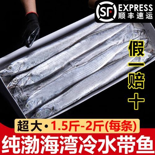 活带鱼多少钱一斤_活带鱼价格为什么波动大-第2张图片-山城妙识