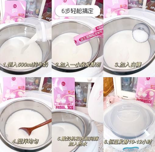 酸奶发酵剂怎么选_自制酸奶发酵剂工艺流程-第2张图片-山城妙识