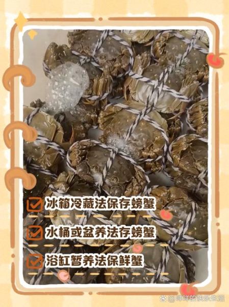 活的河蟹怎么保存_河蟹能活几天-第1张图片-山城妙识 活的河蟹怎么保存_河蟹能活几天-第1张图片-山城妙识