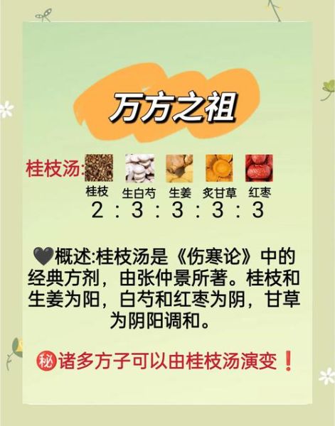 桂枝汤方歌功效与禁忌_桂枝汤适合哪些症状-第1张图片-山城妙识 桂枝汤方歌功效与禁忌_桂枝汤适合哪些症状-第1张图片-山城妙识