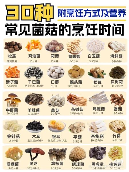 菇类怎么保存_菇类有哪些营养价值-第1张图片-山城妙识 菇类怎么保存_菇类有哪些营养价值-第1张图片-山城妙识