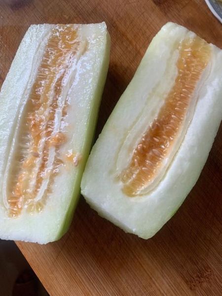 菜瓜图片大全大图_菜瓜长什么样-第3张图片-山城妙识