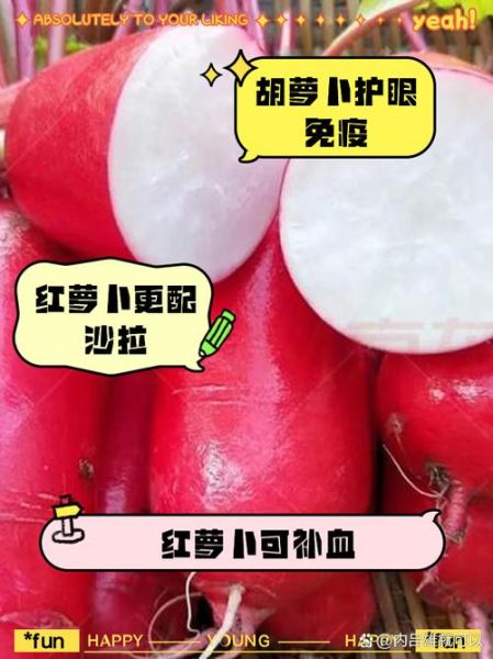 红胡萝卜和黄胡萝卜哪个好_营养成分差异-第2张图片-山城妙识