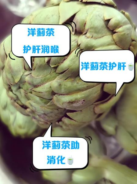 洋蓟茶可以长期饮用吗_长期喝洋蓟茶副作用-第1张图片-山城妙识 洋蓟茶可以长期饮用吗_长期喝洋蓟茶副作用-第1张图片-山城妙识