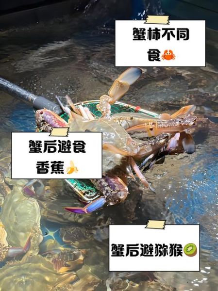吃完螃蟹不能吃什么_吃完螃蟹不能喝什么-第1张图片-山城妙识 吃完螃蟹不能吃什么_吃完螃蟹不能喝什么-第1张图片-山城妙识