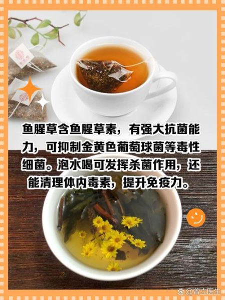 干鱼腥草泡水喝的功效与禁忌_哪些人不能喝-第1张图片-山城妙识