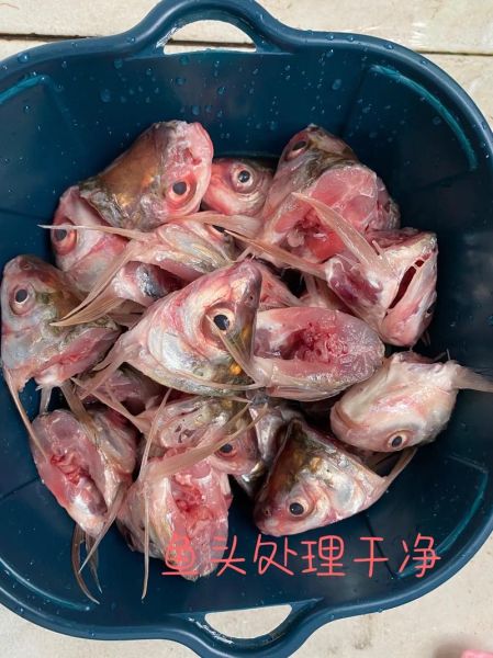 红萝卜鱼怎么养_红萝卜鱼能活多久-第1张图片-山城妙识 红萝卜鱼怎么养_红萝卜鱼能活多久-第1张图片-山城妙识