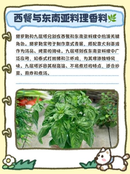 罗勒叶和九层塔一样吗_区别与用途全解析-第2张图片-山城妙识 罗勒叶和九层塔一样吗_区别与用途全解析-第2张图片-山城妙识
