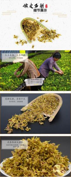 铁皮石斛花图片_铁皮石斛花功效与作用-第2张图片-山城妙识 铁皮石斛花图片_铁皮石斛花功效与作用-第2张图片-山城妙识