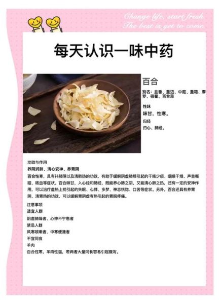 百合怎么吃最养生_百合的功效与作用-第1张图片-山城妙识 百合怎么吃最养生_百合的功效与作用-第1张图片-山城妙识