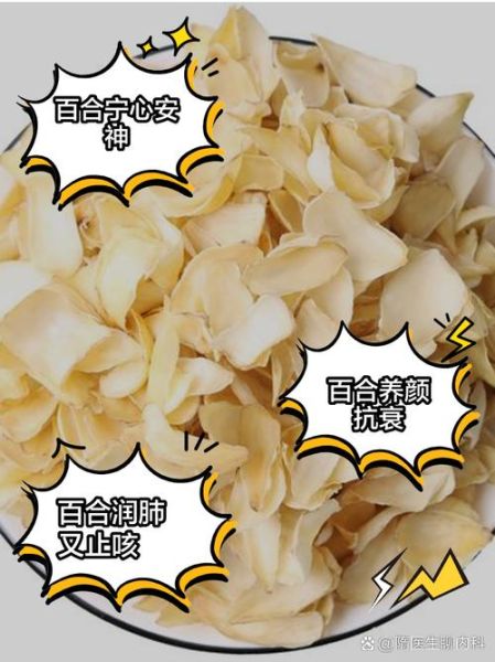 百合怎么吃最养生_百合的功效与作用-第2张图片-山城妙识 百合怎么吃最养生_百合的功效与作用-第2张图片-山城妙识