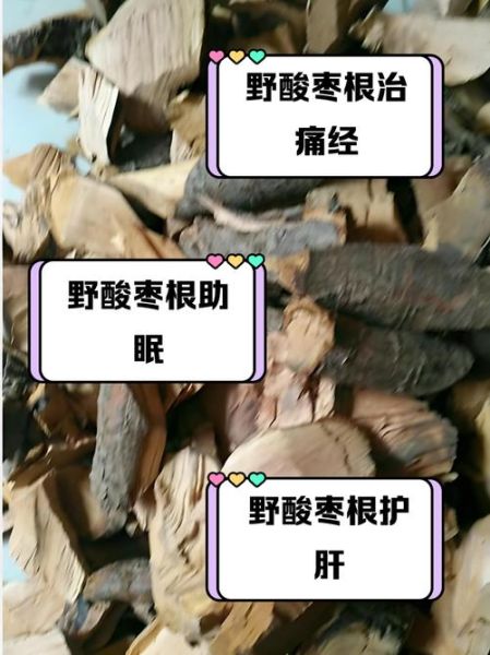 野酸枣泡水喝的功效_野酸枣泡水喝的禁忌-第1张图片-山城妙识