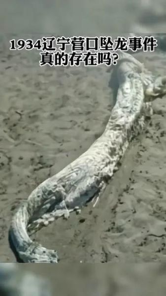 营口坠龙真相_营口坠龙事件是真的吗-第1张图片-山城妙识 营口坠龙真相_营口坠龙事件是真的吗-第1张图片-山城妙识
