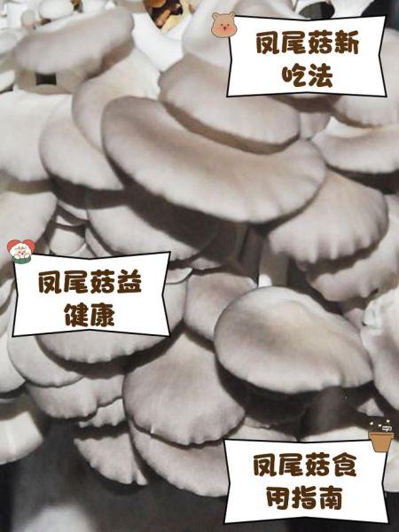 凤尾菇煮几分钟熟_凤尾菇煮多久才安全可吃-第1张图片-山城妙识