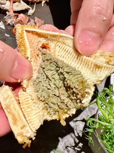 海星煮多久可以吃_海星煮多长时间能熟-第1张图片-山城妙识 海星煮多久可以吃_海星煮多长时间能熟-第1张图片-山城妙识