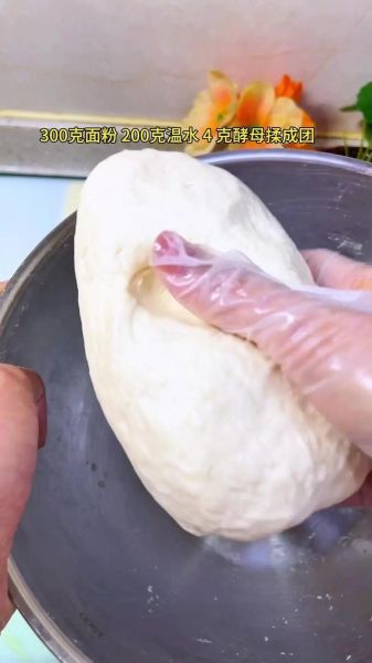 发面烤饼烤箱做法_发面烤饼配方比例-第1张图片-山城妙识